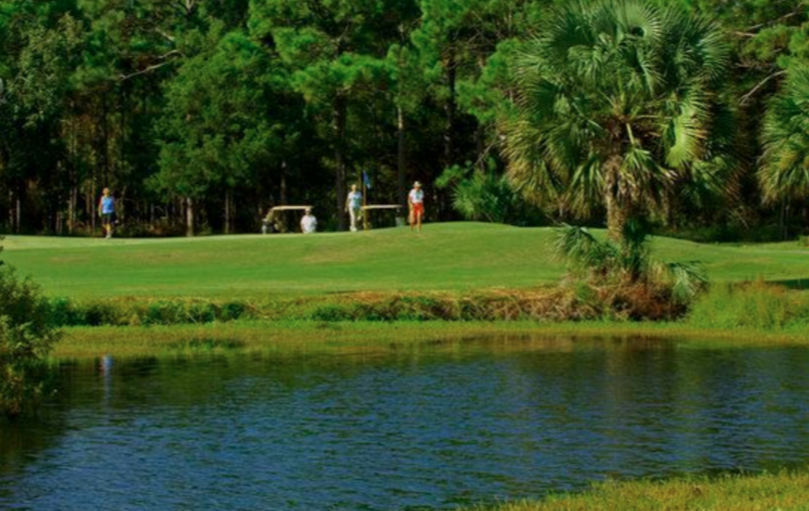 Prepare for your round at St. Joseph Bay Golf Club | Hole19