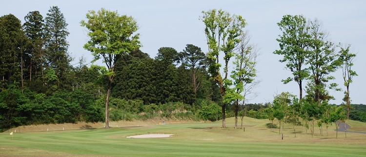 Prepare for your round at Chiba Shimin Golf | Hole19