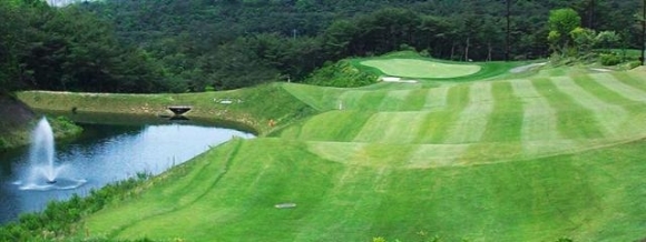 Prepare for your round at Springvale Resort | Hole19