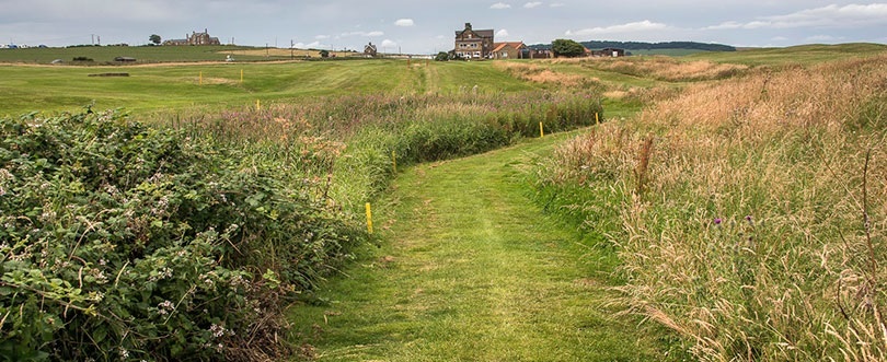 Prepare for your round at Whitby Golf Club | Hole19