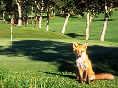 Prepare for your round at Teshikawa Country Club | Hole19