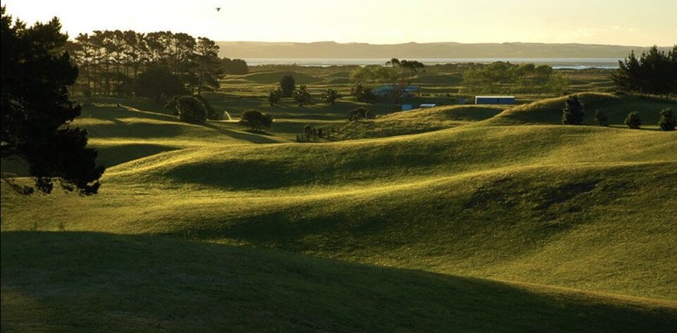 Prepare for your round at Tapora Golf Club | Hole19