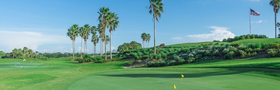 Prepare for your round at Heron Creek Golf & Country Club | Hole19