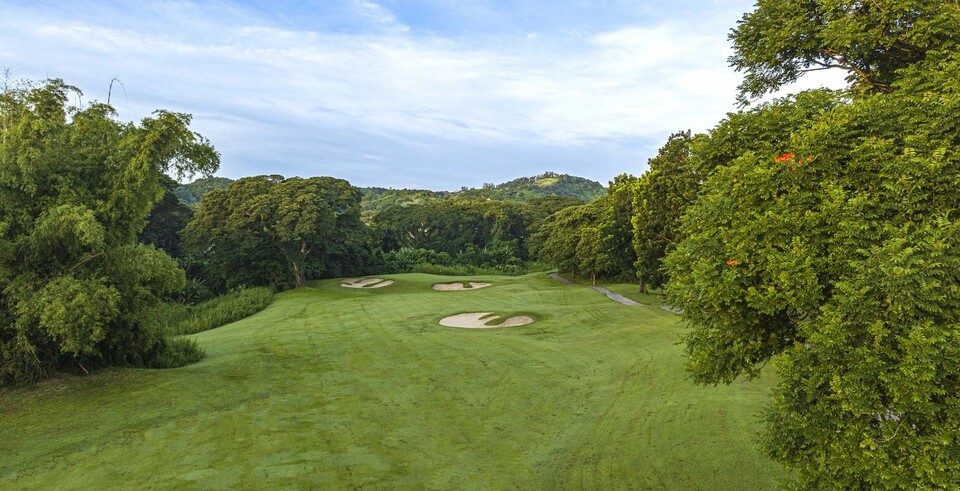 Prepare for your round at Mimosa Plus Golf Course | Hole19